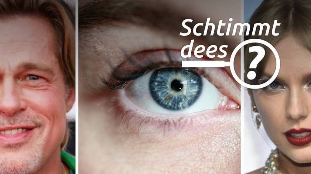 „schtimmt Dees“ Sind Alle Menschen Mit Blauen Augen Miteinander Verwandt