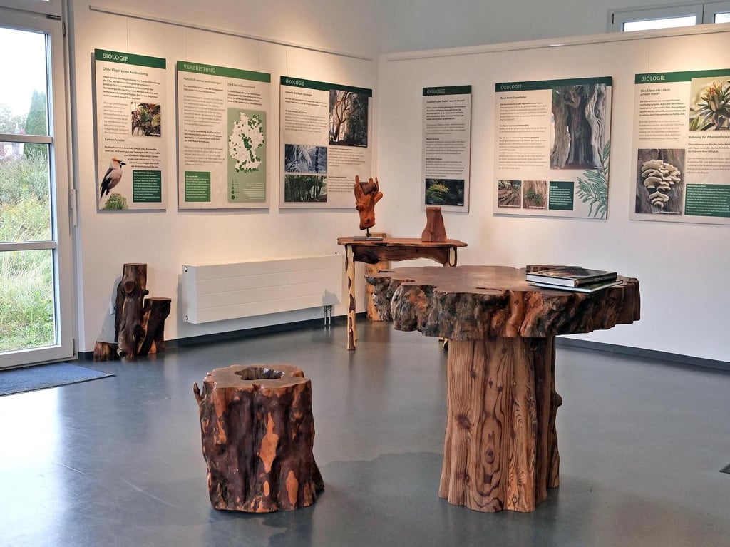 Vom Baum des Lebens und dem Baum des Todes