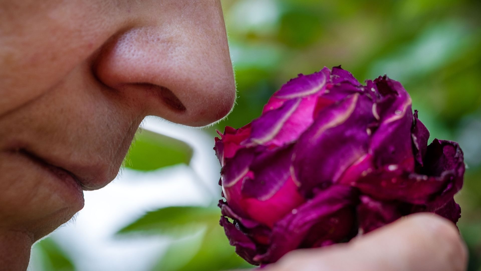 Warum der Geruchssinn so wichtig ist