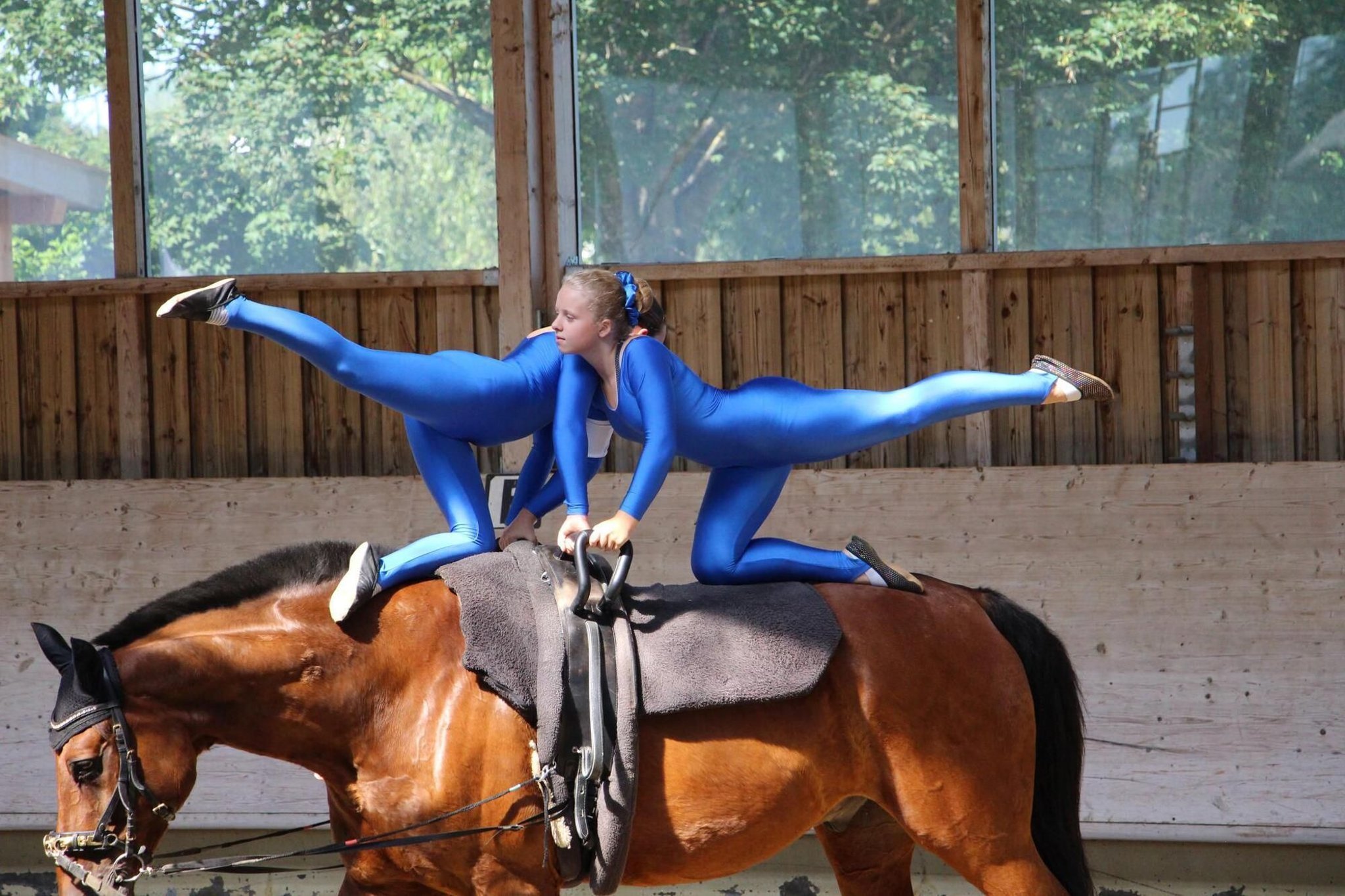 PSK-Meisterschaft im Voltigieren in Herbertingen