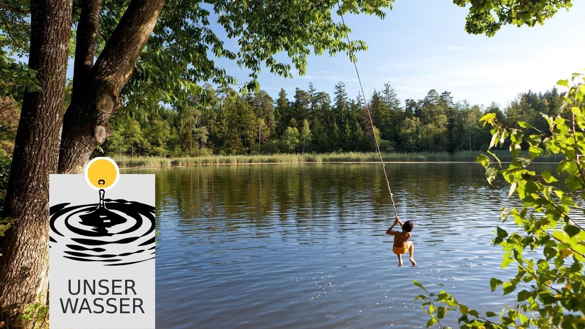 Fünf Gründe, warum Seen in der Region sauberer sind als früher