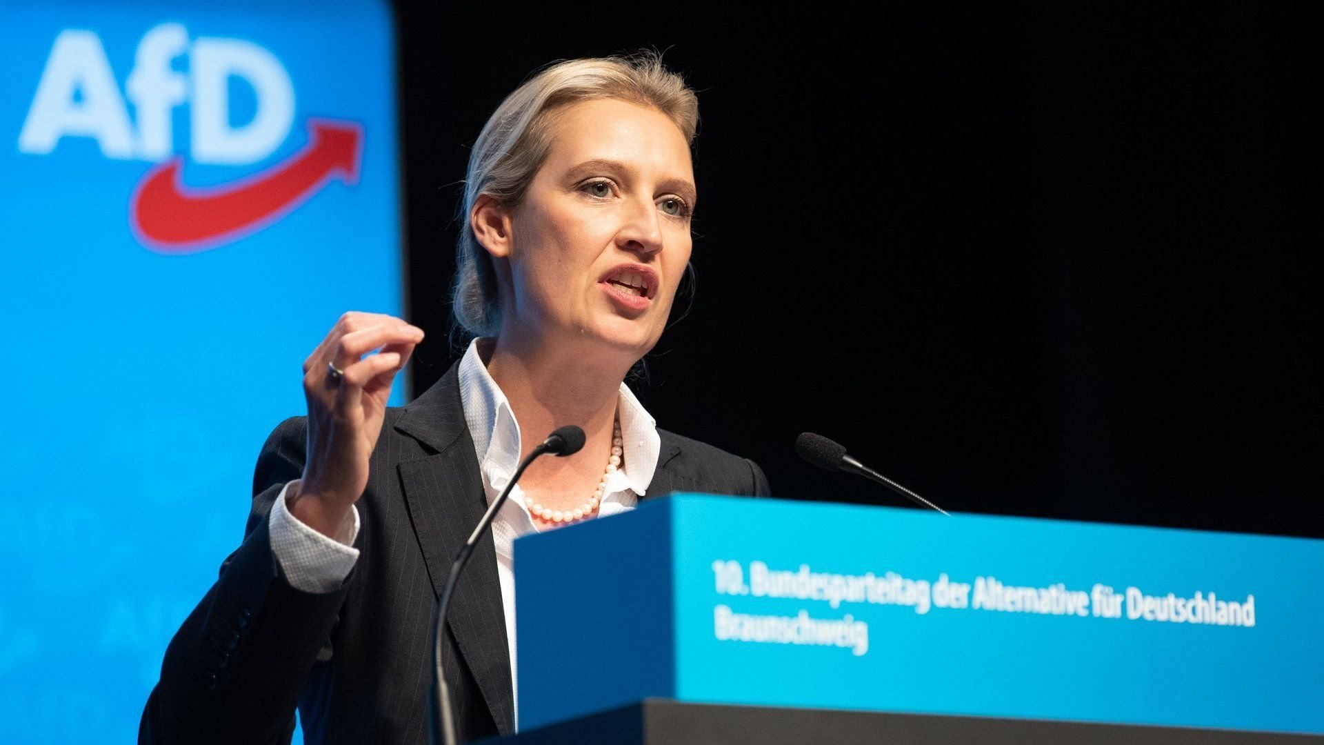Südwest-AfD: Weidel kandidiert für Vorstand und muss sich Grabenkämpfen ...