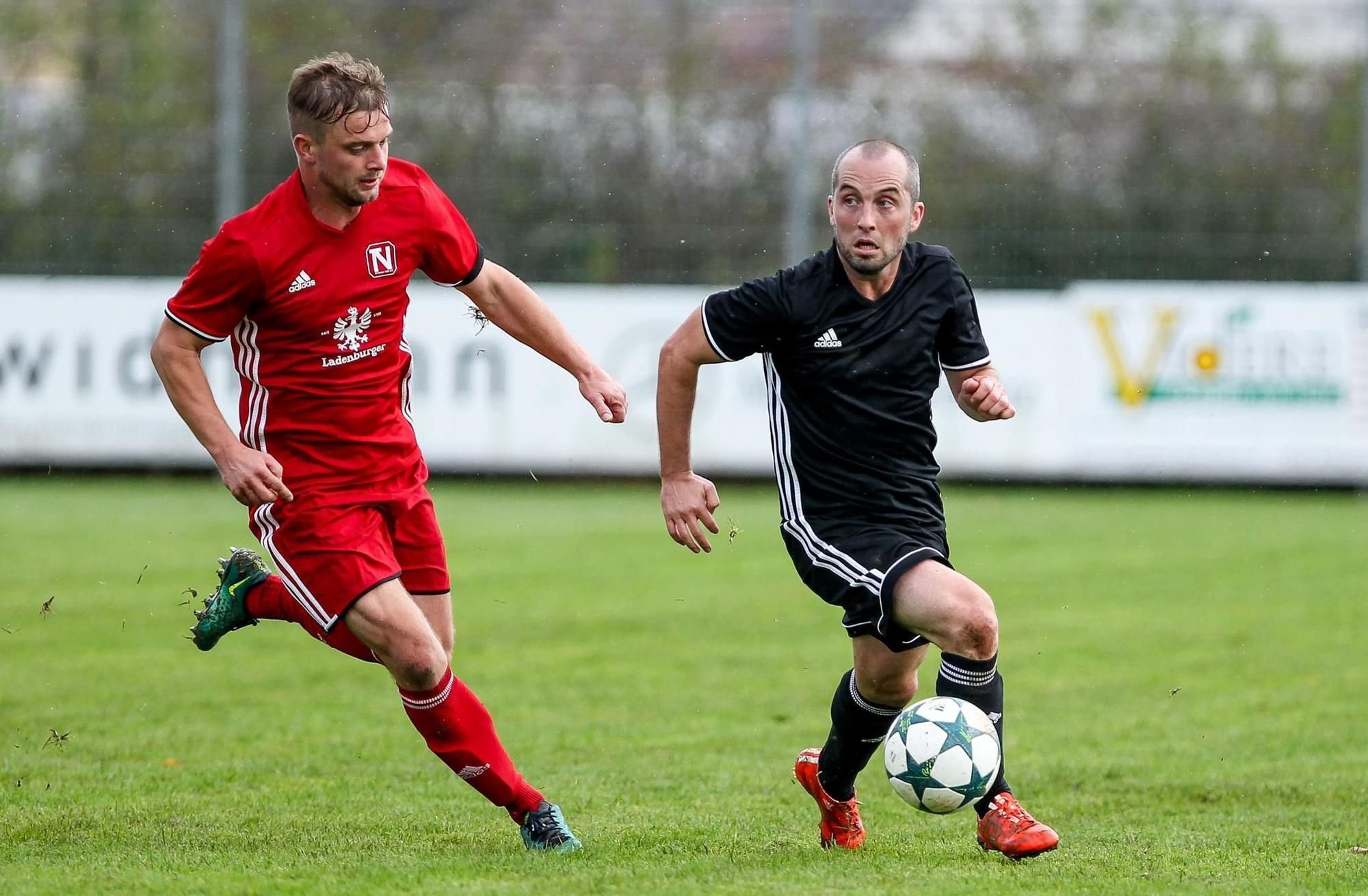 Roman Riedel verstärkt TSG