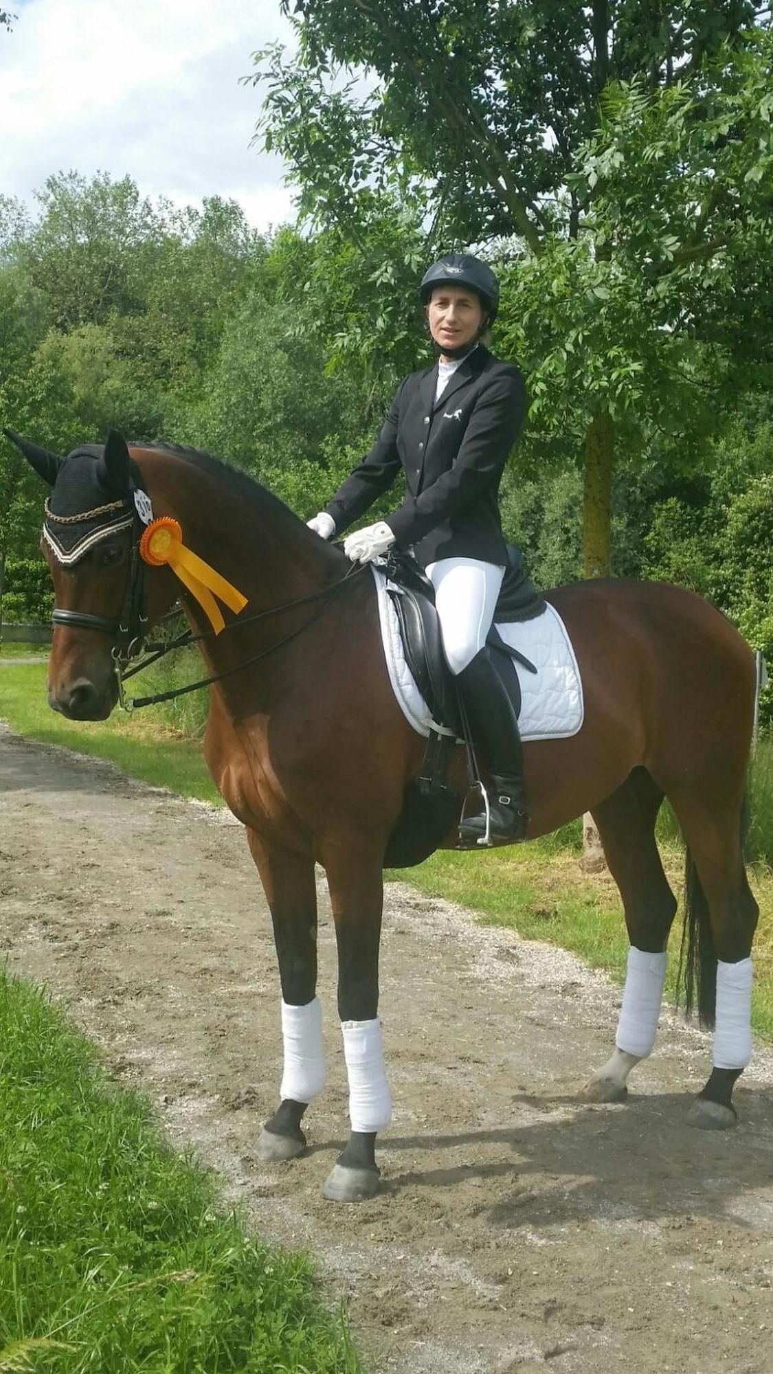 Reiterinnen weiter auf Erfolgskurs