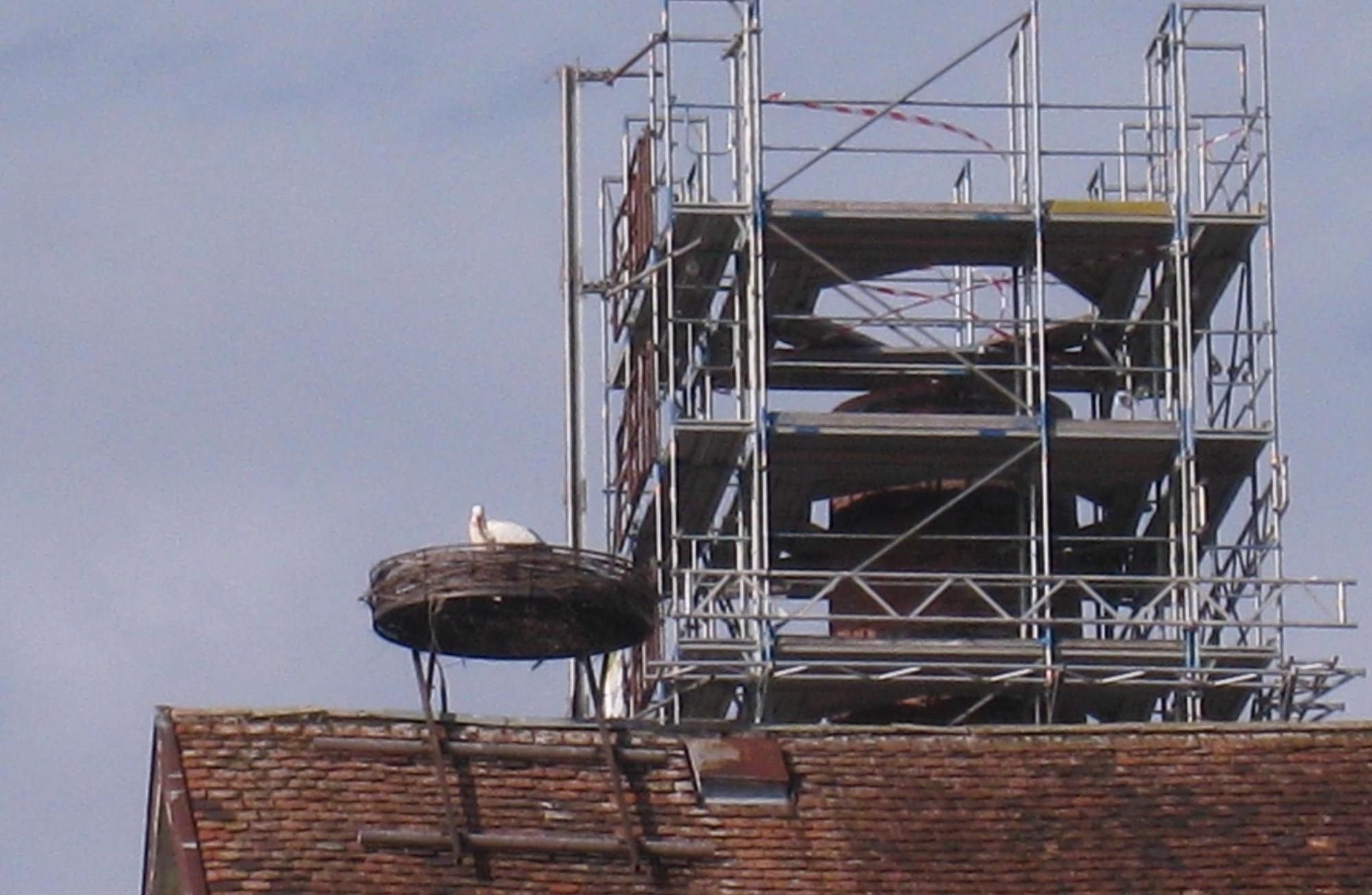 Eine neue Heimat für den Wangener Storch?