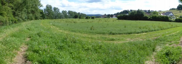 „Gerinne ist besser als Fischtreppe“