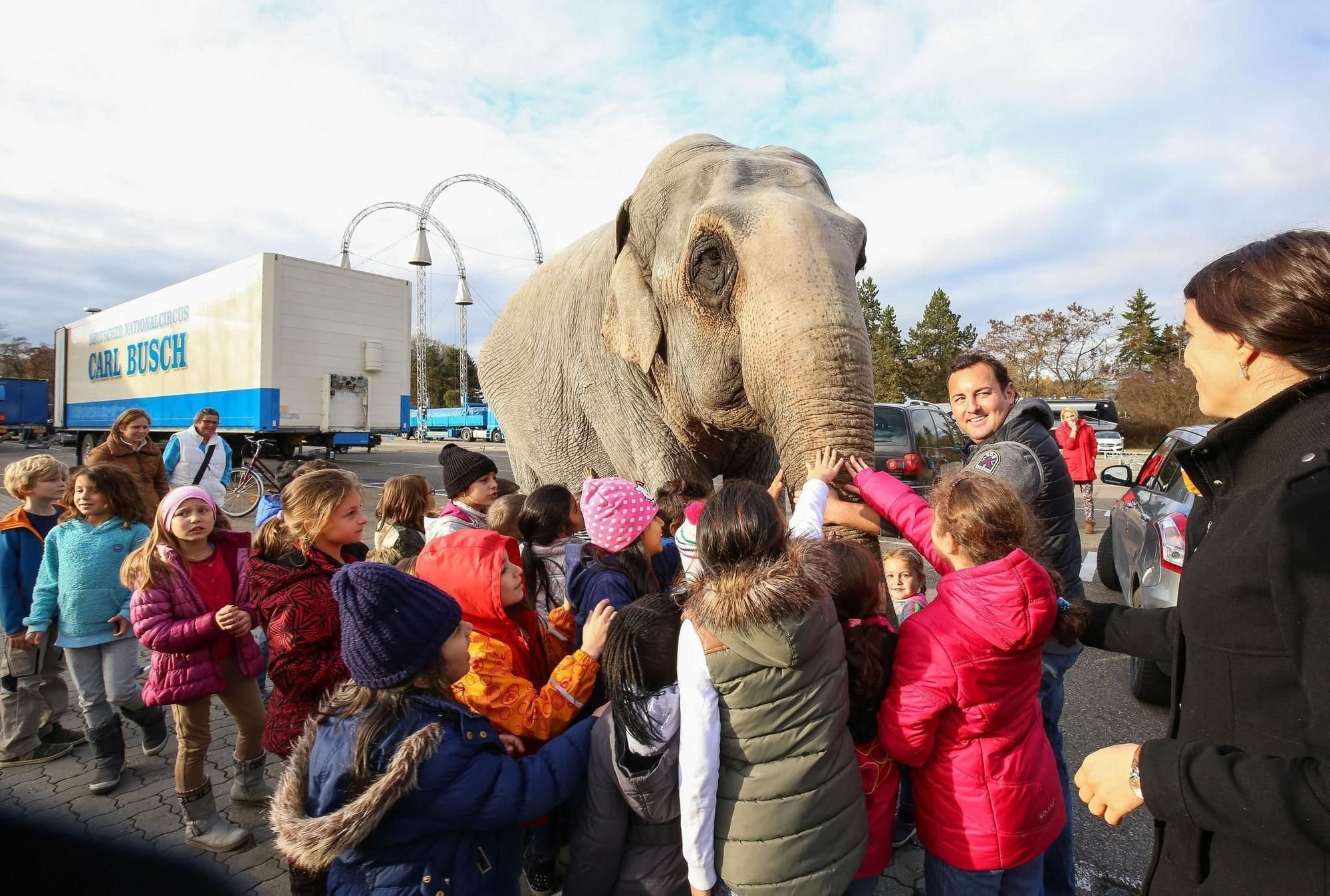 Der Zirkus ist in der Stadt