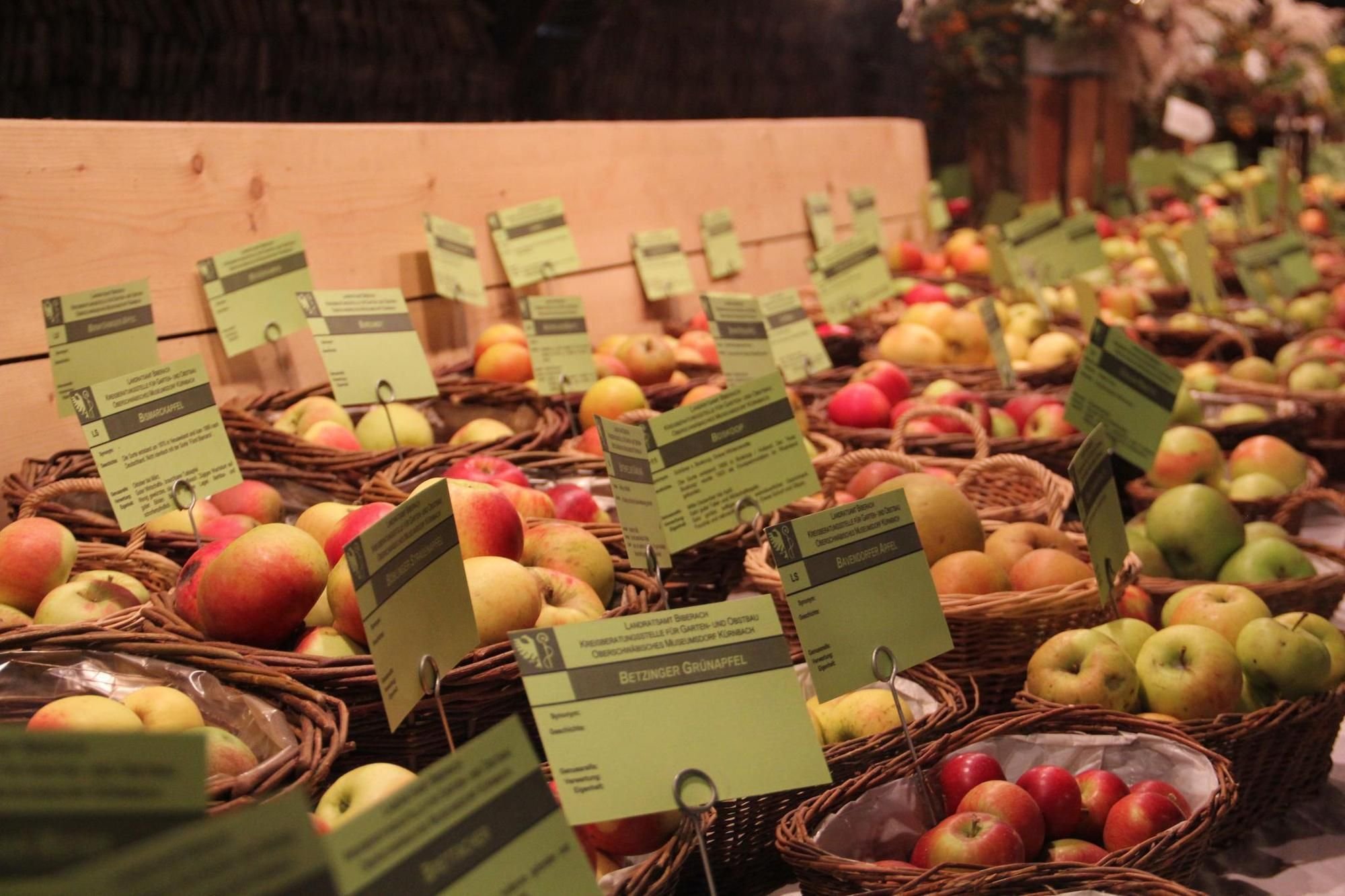 Museumsdorf stellt seltene Obstsorten aus