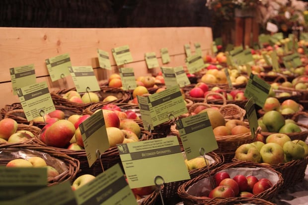 Museumsdorf stellt seltene Obstsorten aus