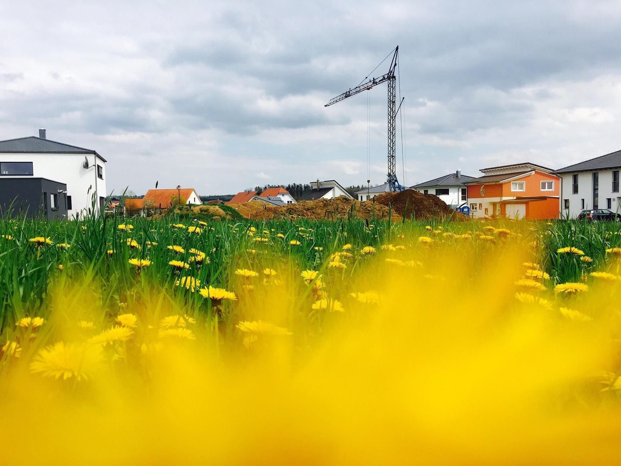 Tannhausen bekommt 16 neue Bauplätze