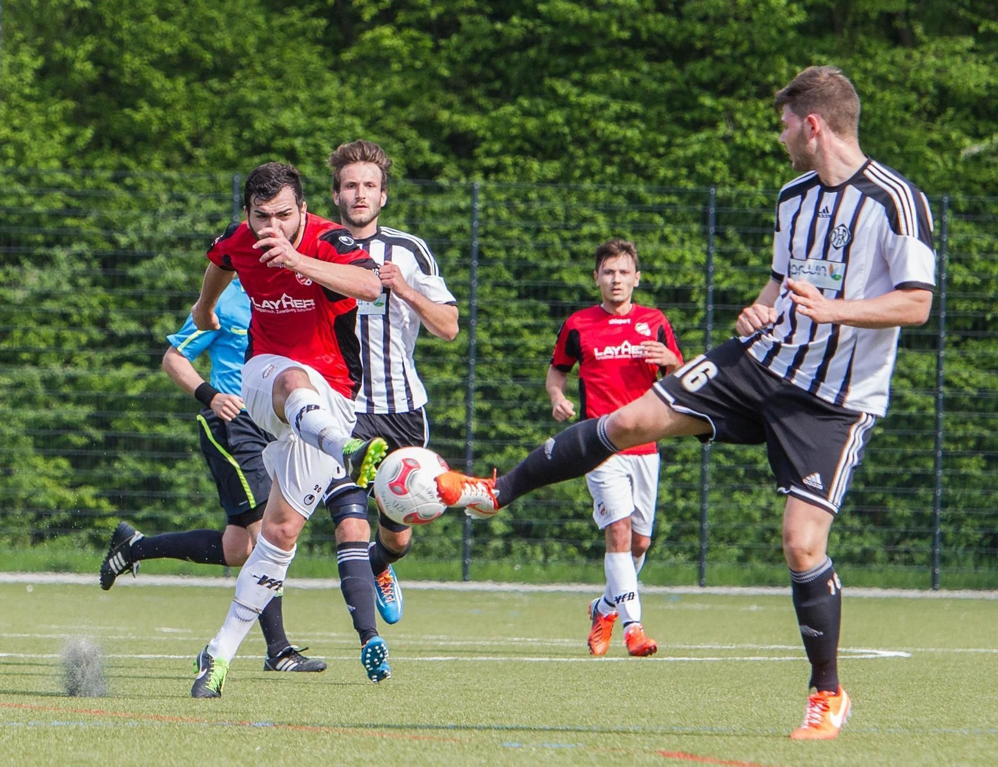 „Das ist völliger Humbug“