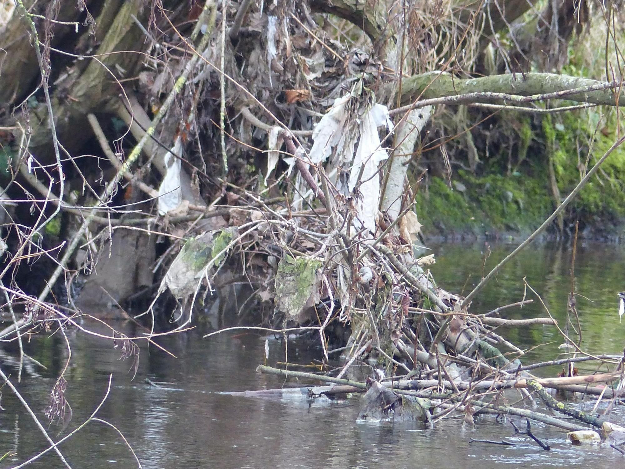 Der einst schmutzigste Fluss ist immer noch „kritisch“ belastet