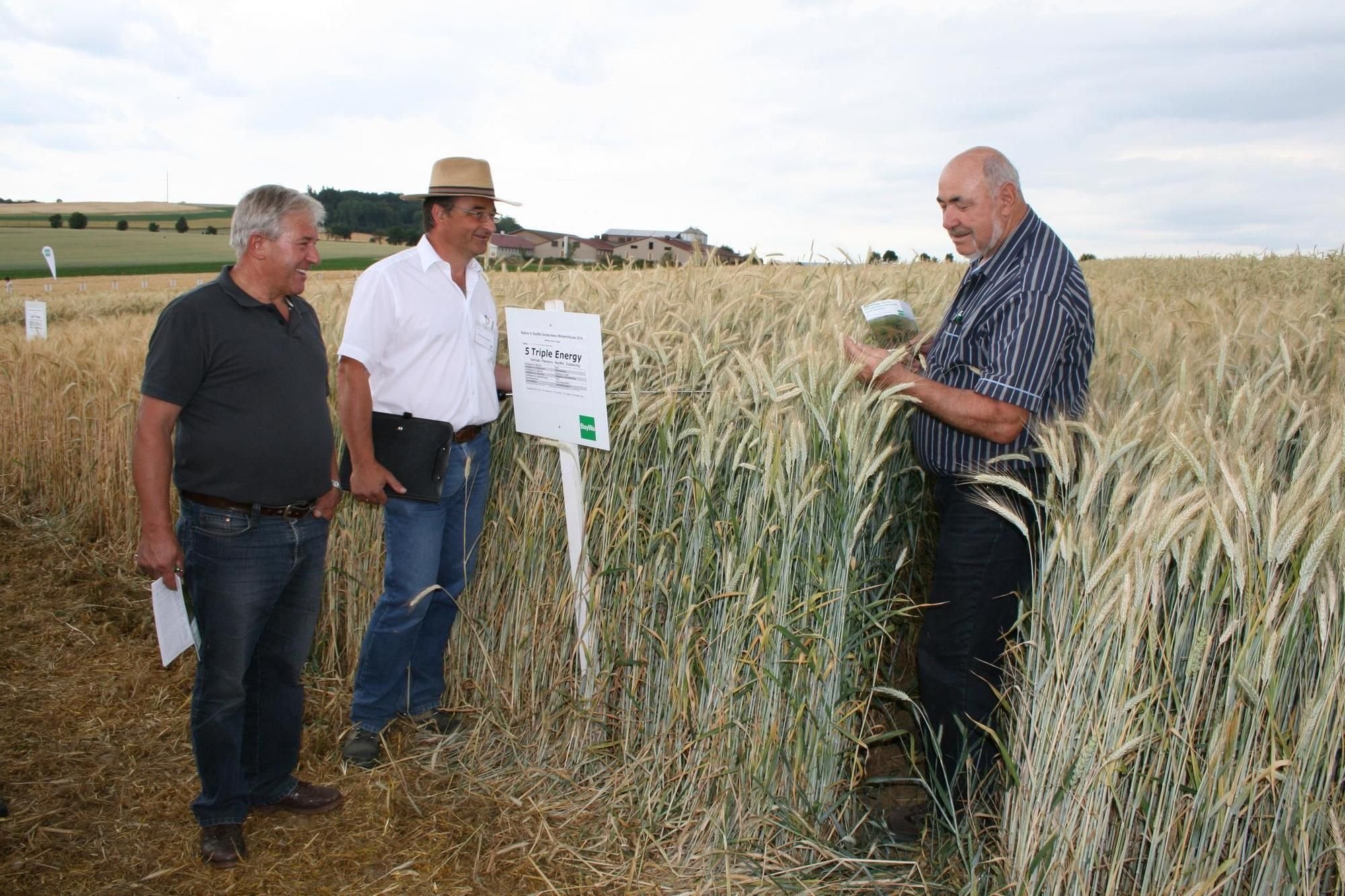 Zipplinger Landwirte zeigen ihre Felder
