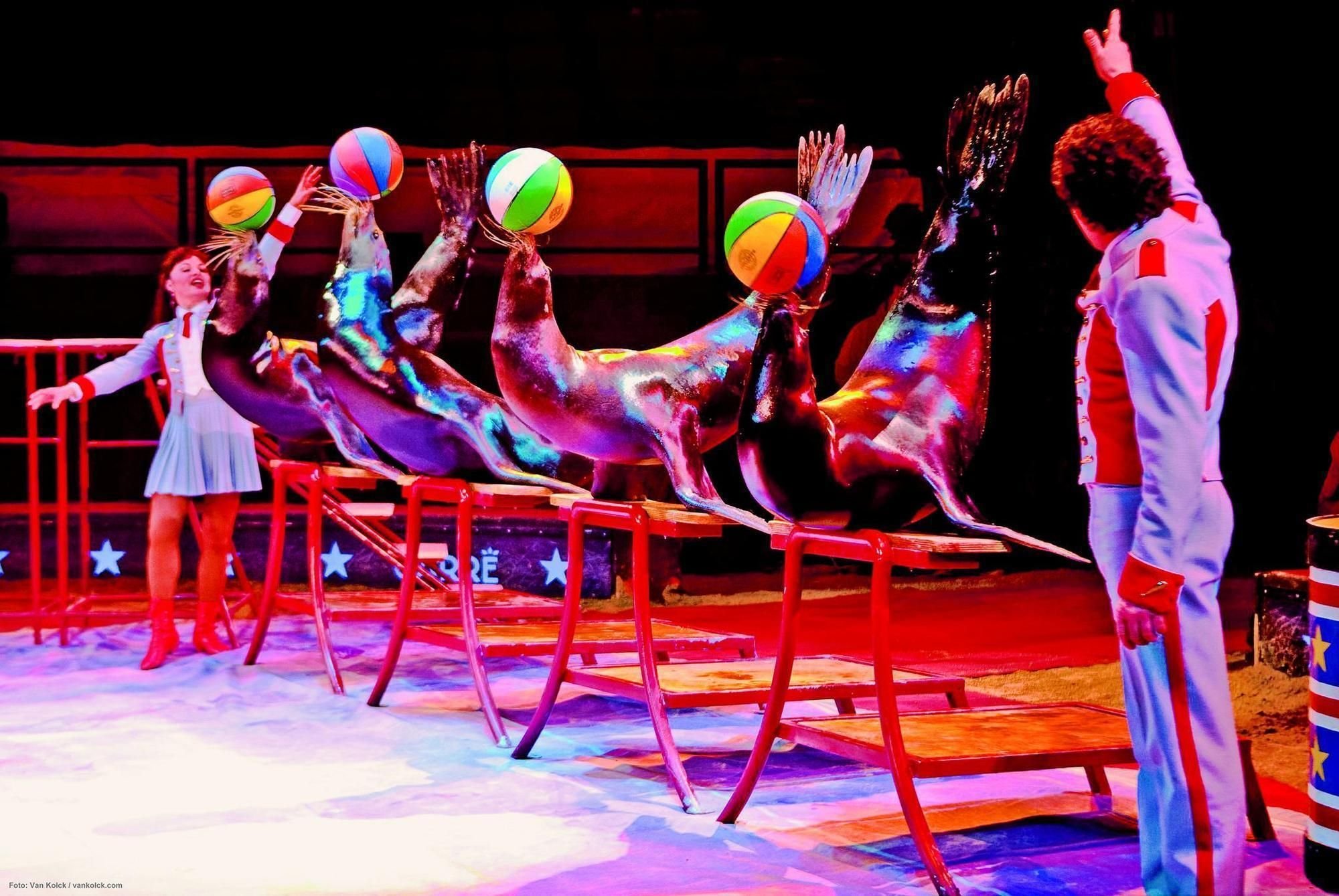 Circus Krone präsentiert 54 Artisten und 200 Tiere