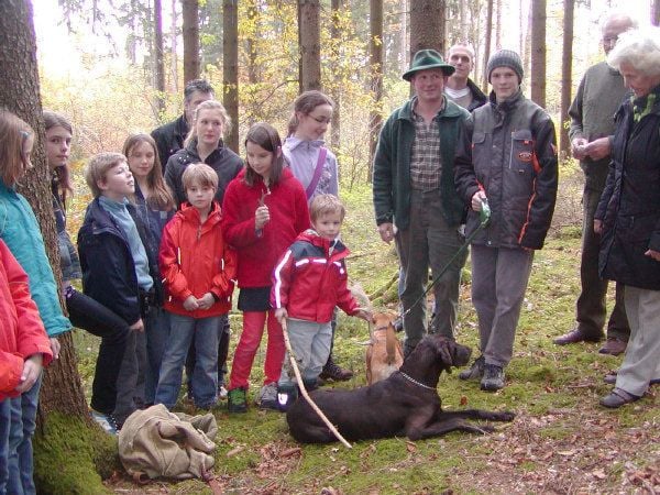 Stadtförster Oblinger ist der Natur auf der Spur