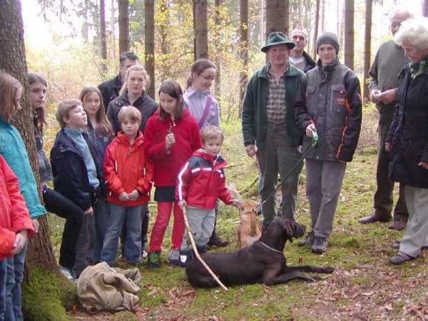 Stadtförster Oblinger ist der Natur auf der Spur