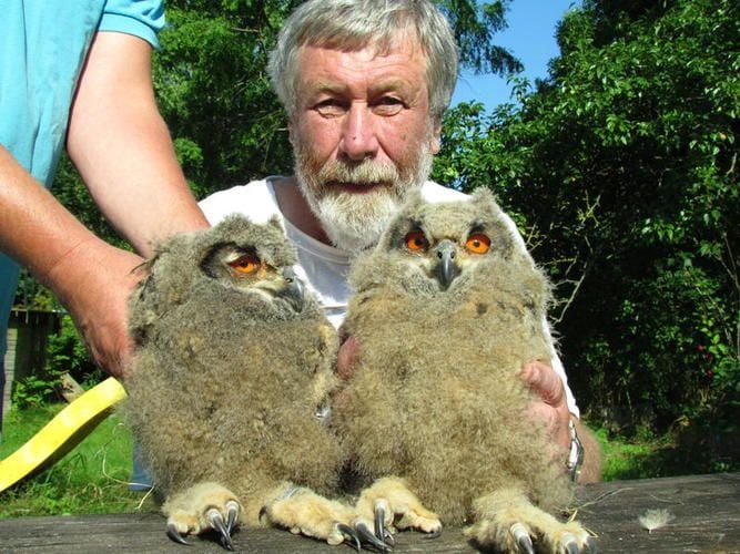 Huhu, Uhu! Nachwuchs auf dem Haustierhof in Rambow