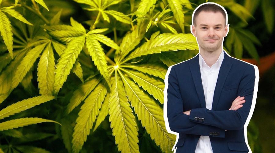 Ist Gras rauchen in MV bald erlaubt?