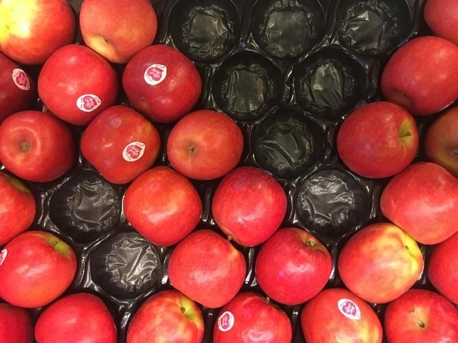 Apfelpreise sinken nach dem Sommer