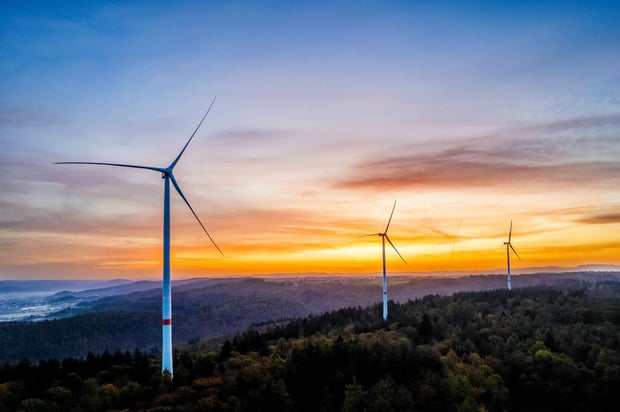 Windpark im Altdorfer Wald: So groß werden die Windräder