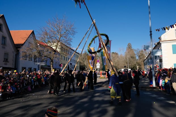 Glückseliges Narrenbaumstellen bei Sonnenschein