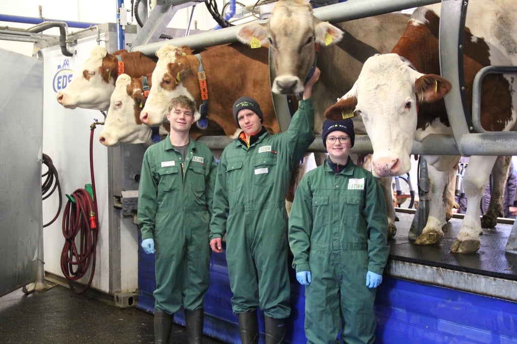 „Nicht einfach nur anstöpseln“: Junglandwirte wetteifern bei Melkwettbewerb