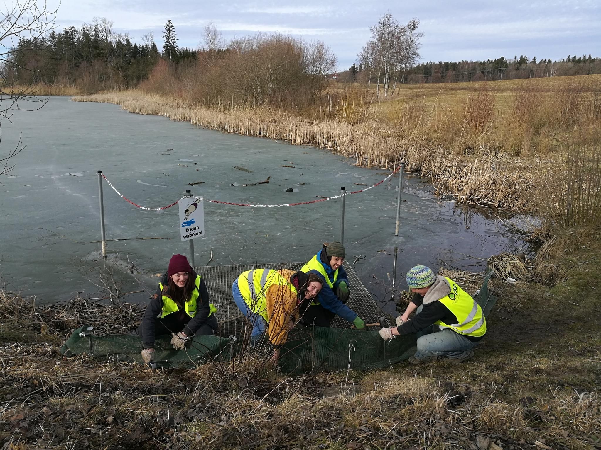 Kröten– und Froschwanderung beginnt