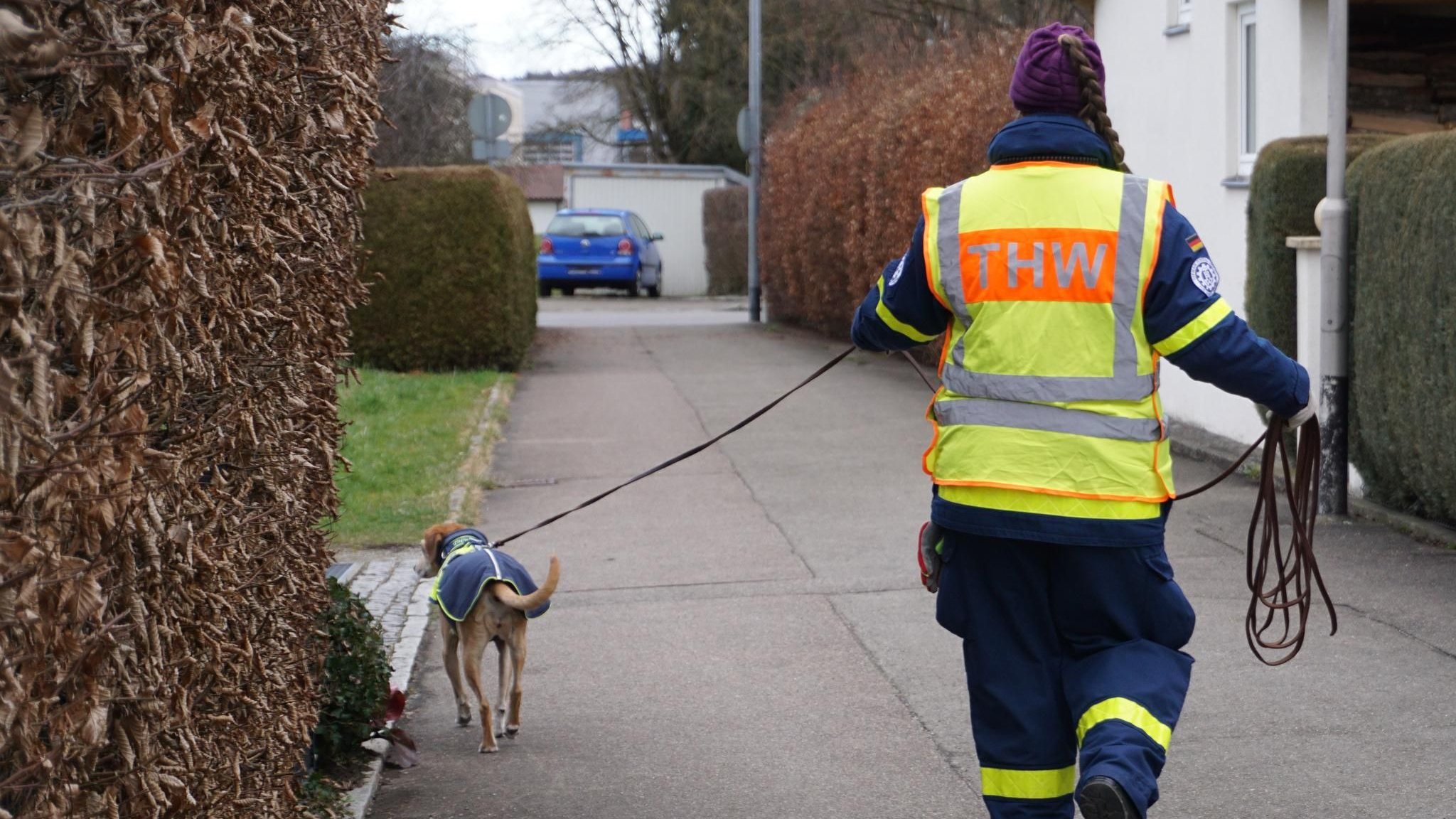 THW–Mantrailer trainieren in Friedrichshafen