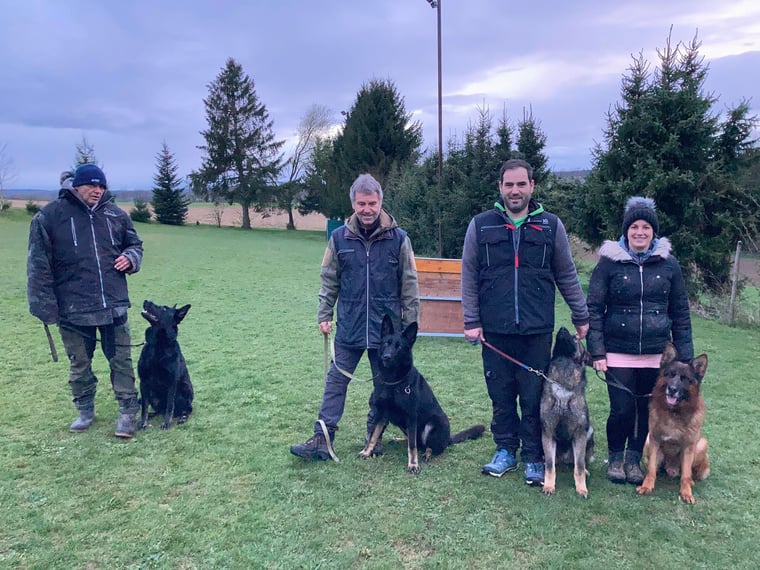 Hundesport: Schäferhunde üben für Wettkampf in Mittelbiberach