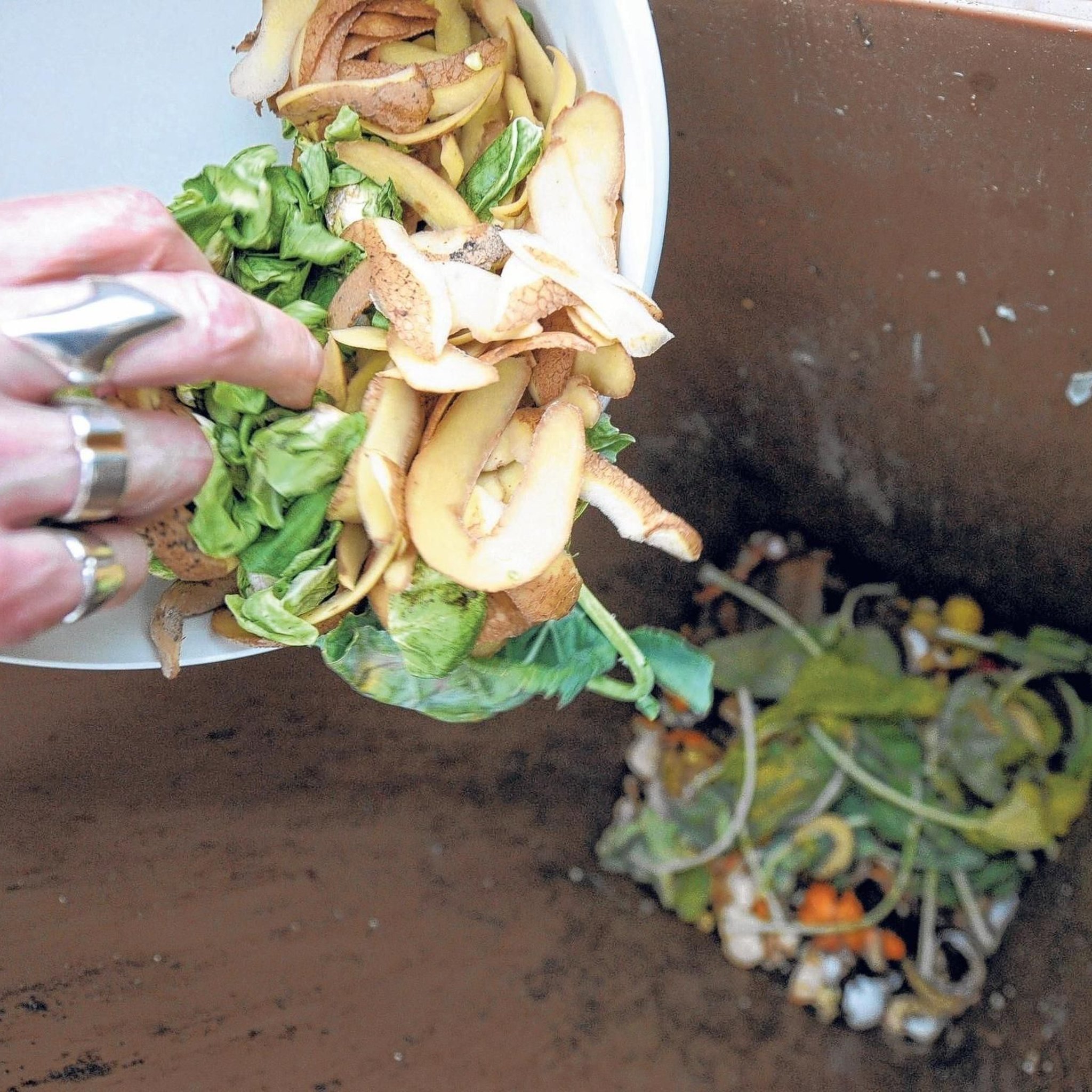 Biomüll: Künftiges System sorgt Senioren und Geringverdiener