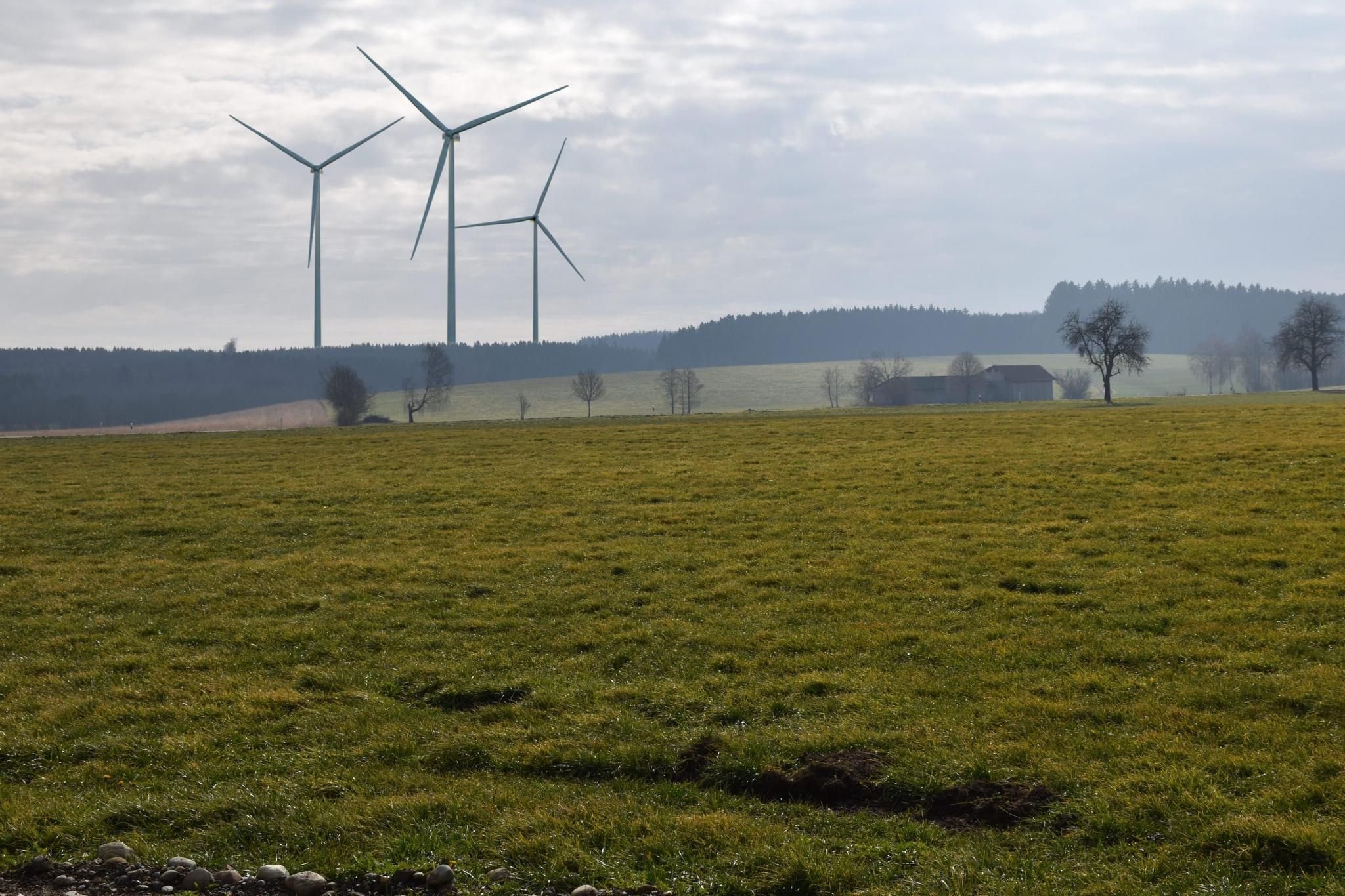 Windparks bei Bad Wurzach geplant