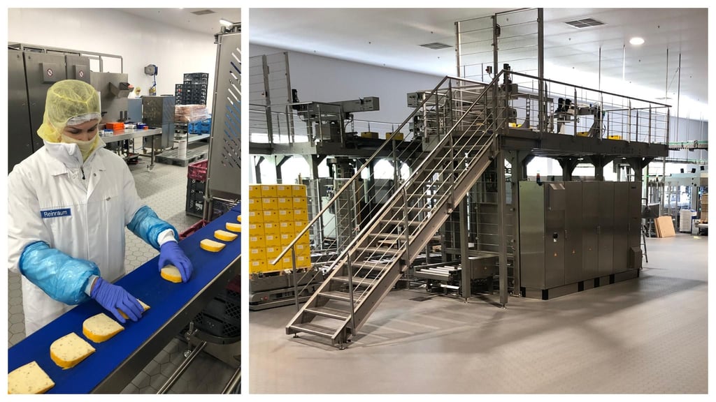 Jermi Käsewerk GmbH investiert 50 Millionen Euro in Zukunftsprojekte