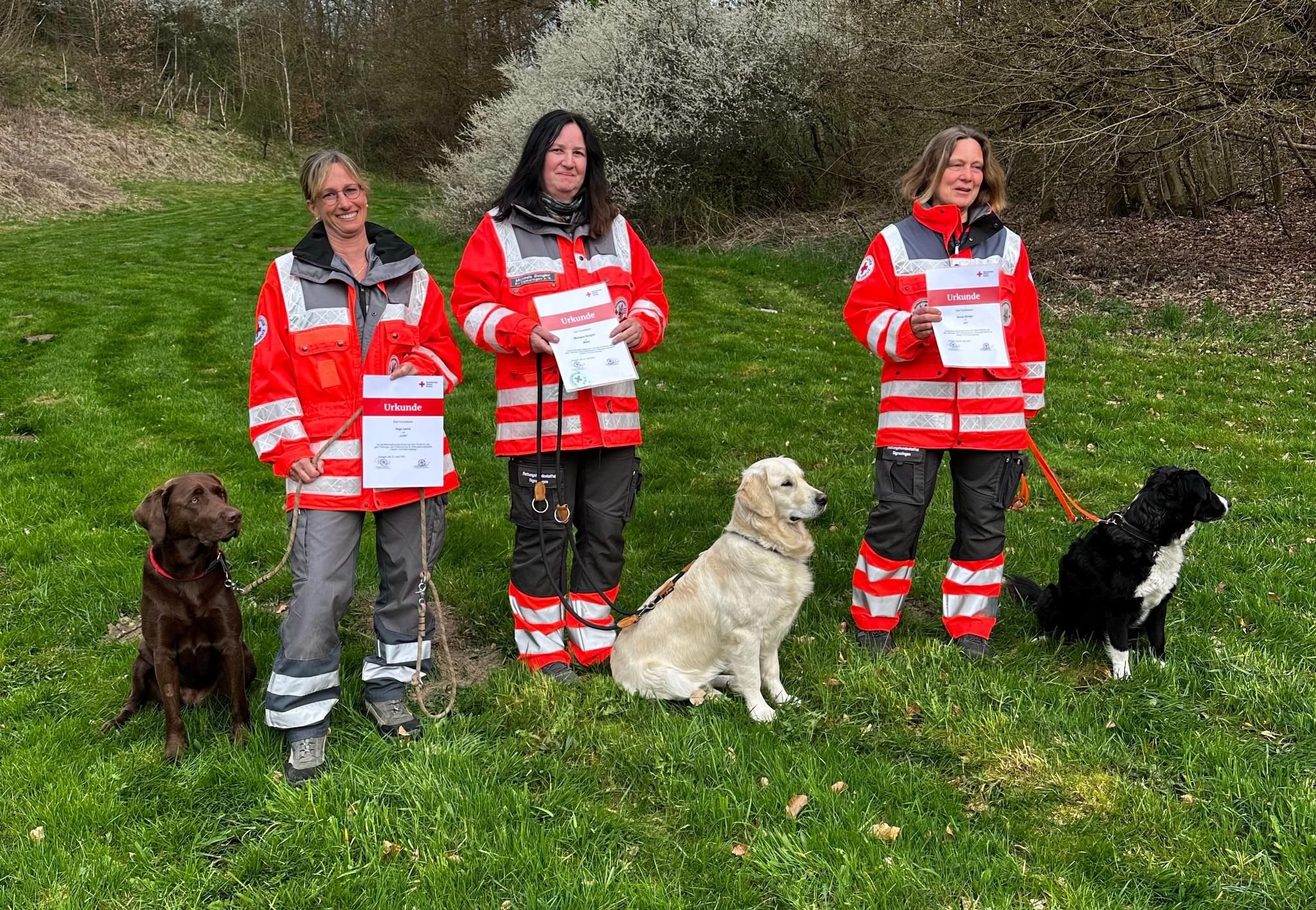 Hunde bestehen Prüfung