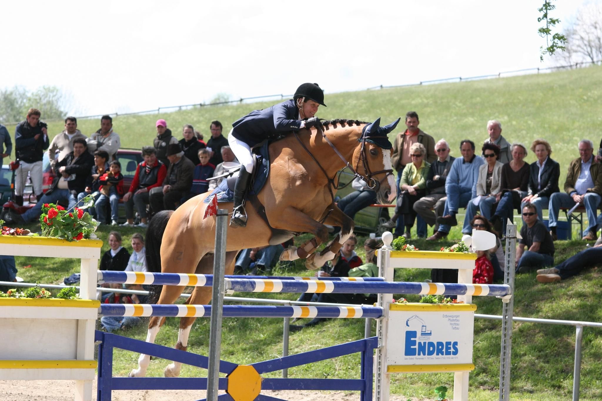 Springturnier in der höchsten Klasse