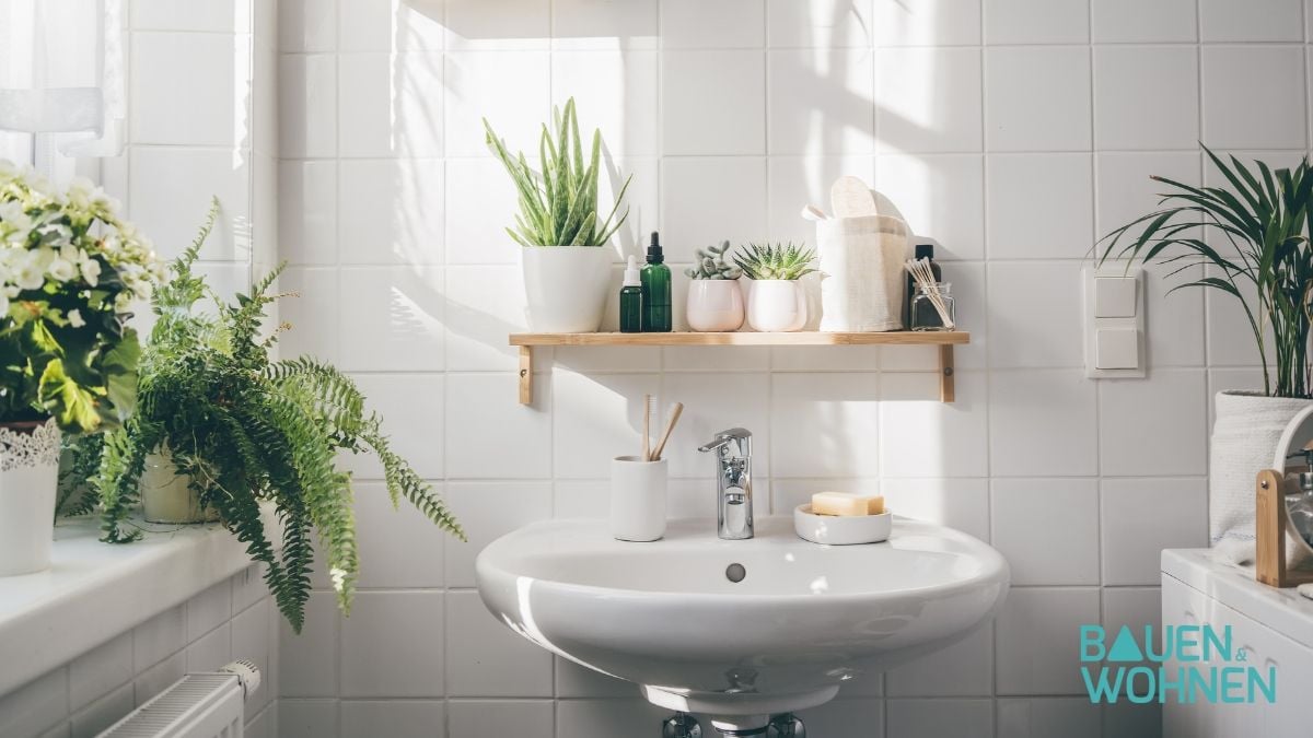 Welche Pflanzen eignen sich fürs Bad?