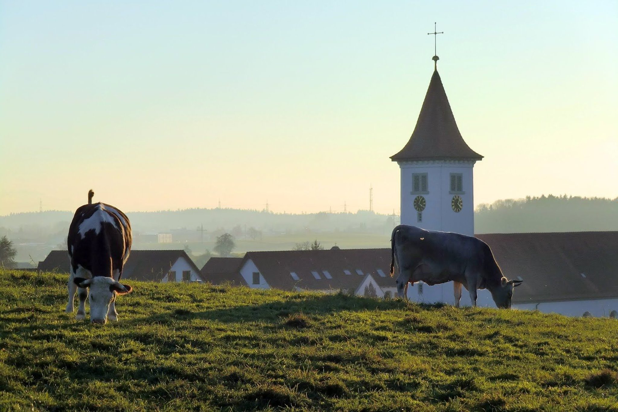Das passiert bei der Solidarsichen Gemeinde in Schlier
