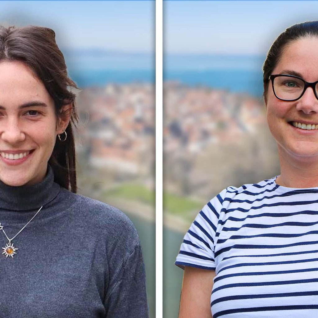 Bahnhof Lindau–Insel: Gleis 1 steckt im Bau–Stau