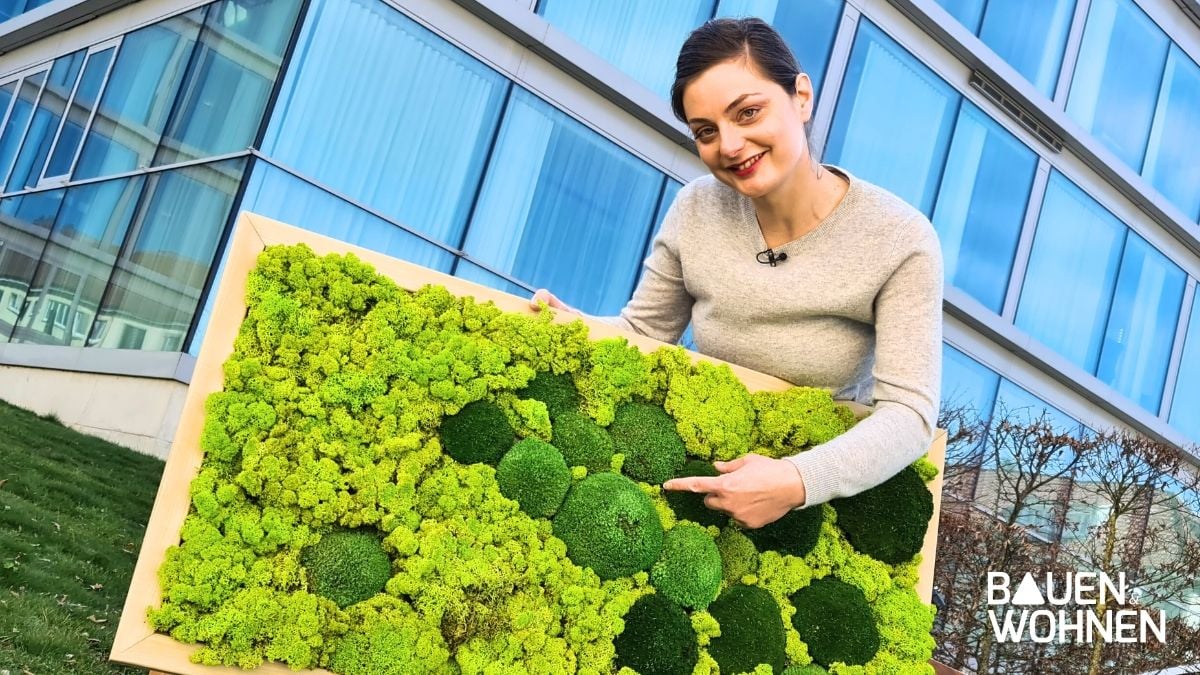 DIY: Moosbild selber machen | Schwäbische.de