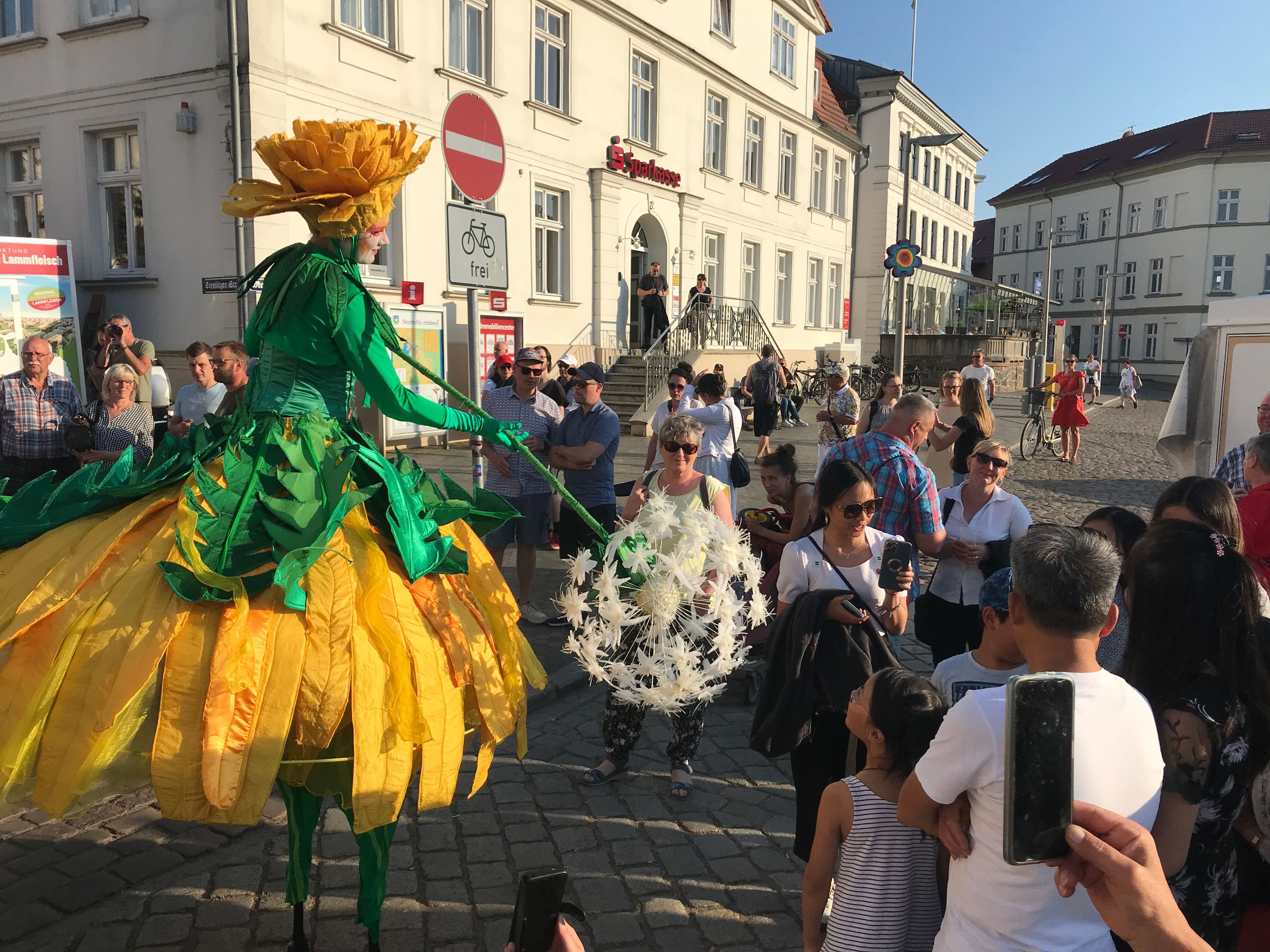 Sommer, Sonne und Strelitzienfest — so schön war die große Party