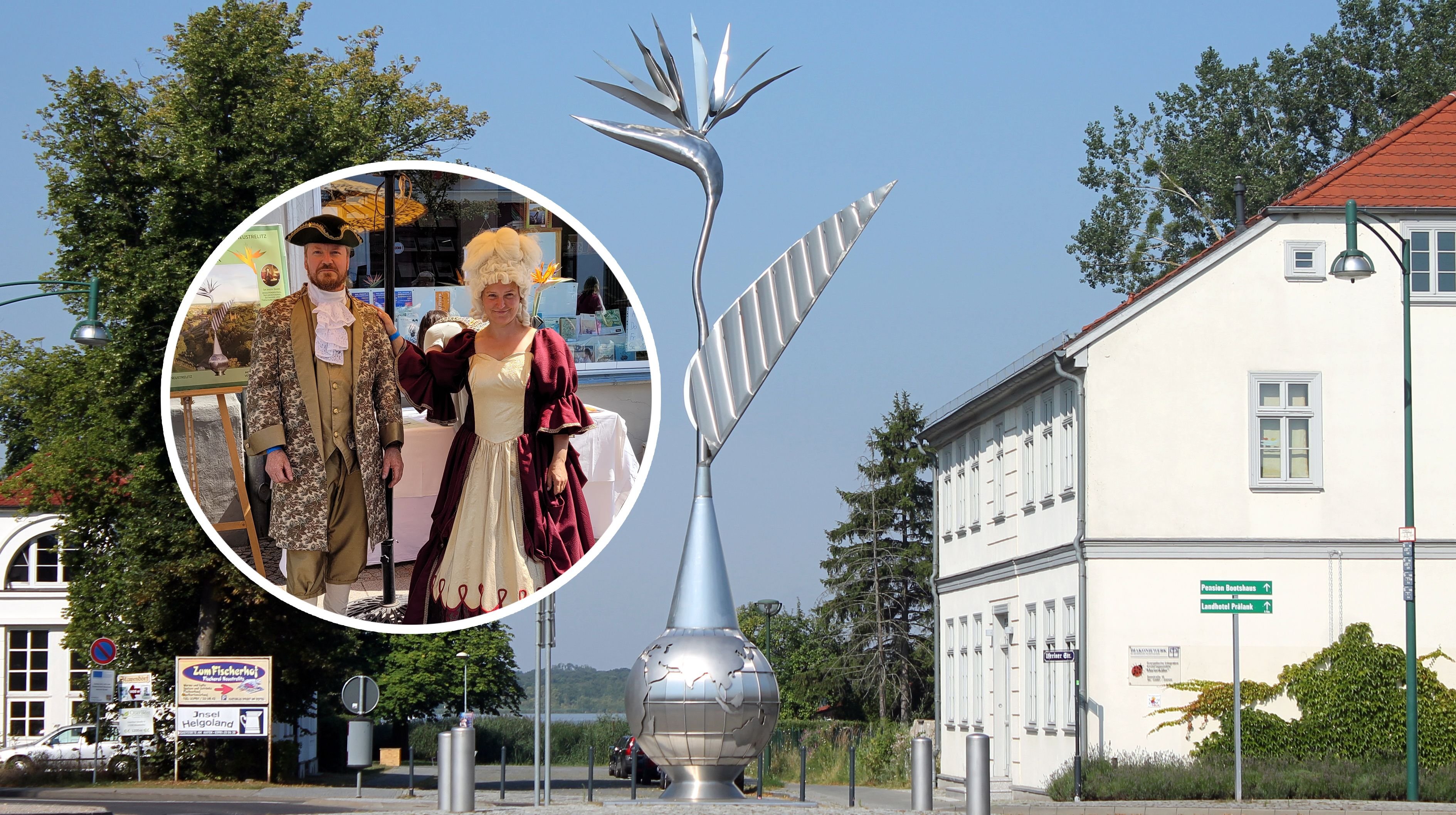 Künstler will mehr noch für die Strelitzien–Stadt tun