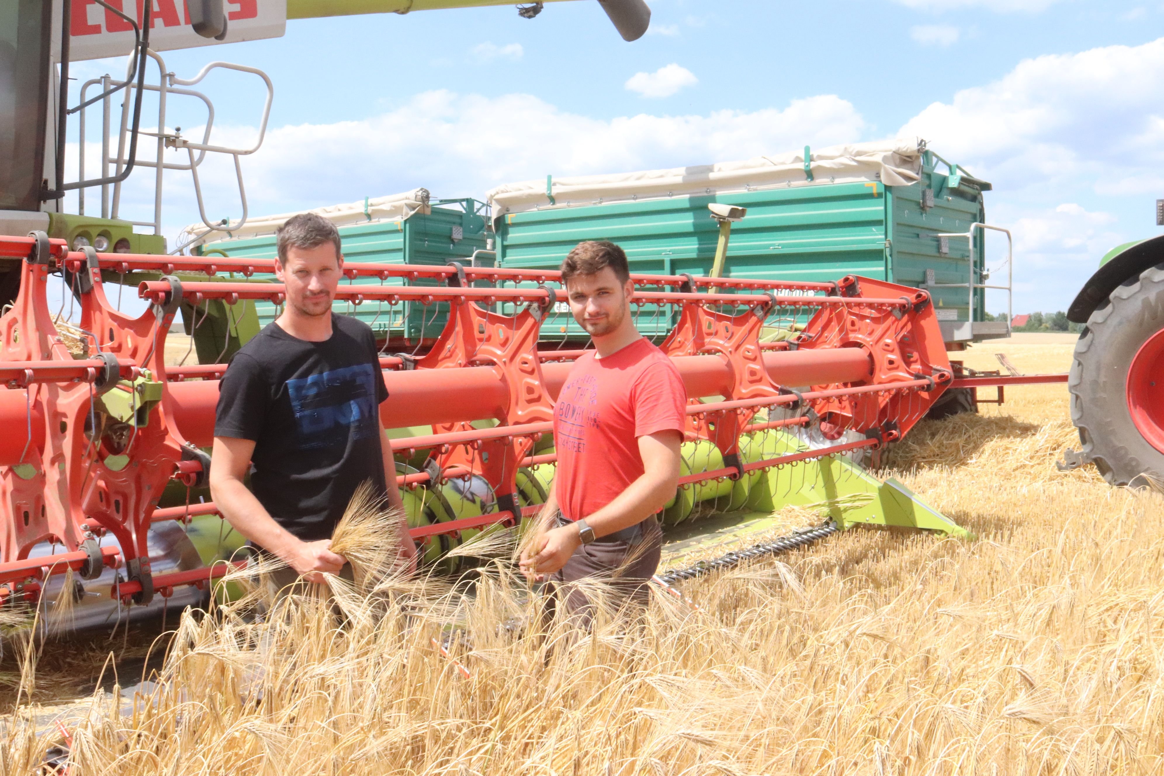 Landwirte holen Gerste von den Feldern