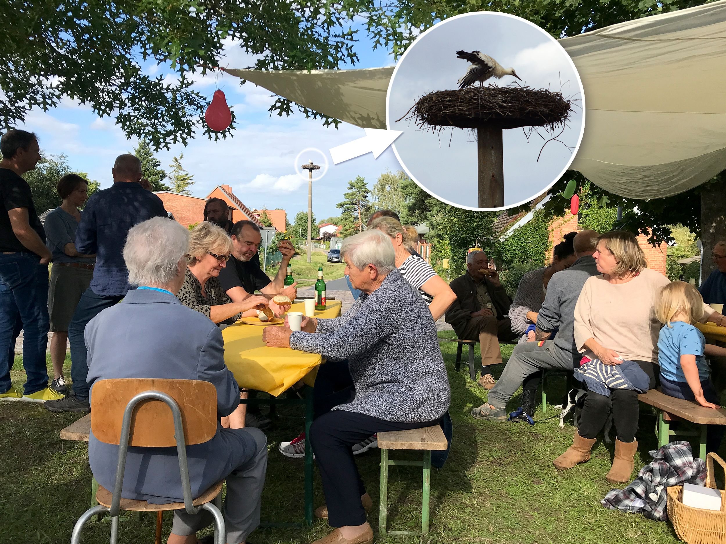 Endlich ist in diesem Dorf wieder ein Storch zu Hause
