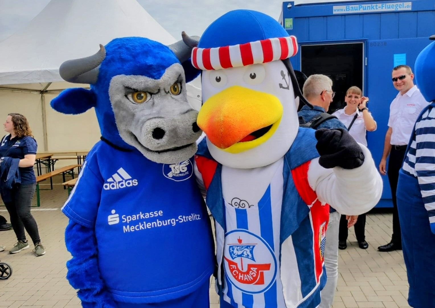 Mecki aus Neustrelitz mischt bei Maskottchen–Treffen mit